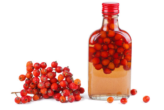 Rowan-Berry Bilder – Durchsuchen 3,281 Archivfotos, Vektorgrafiken und ...