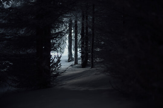 Mysterious Snow Bilder – Durchsuchen 42,491 Archivfotos, Vektorgrafiken ...