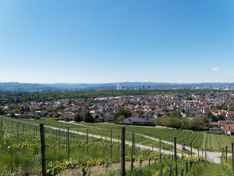 รูปภาพWeil – เลือกดูภาพถ่ายสต็อก เวกเตอร์ และวิดีโอ675 | Adobe Stock