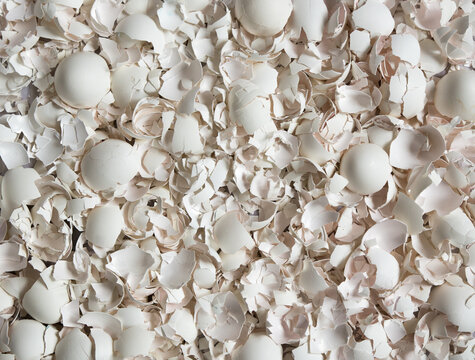 Eggshell Texture Images – Browse 21,103 Stock Photos, Vectors, and ...