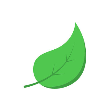 Leaf Icon Png