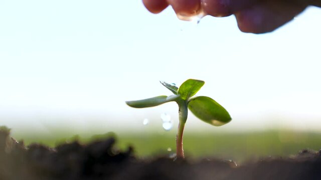 "Grow Up" Images – Browse 123,341 Stock Photos, Vectors, and Video ...