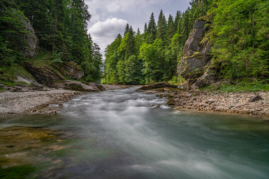 Ammer 画像 - 参照 6,004 Stock 写真、ベクターおよびビデオ | Adobe Stock
