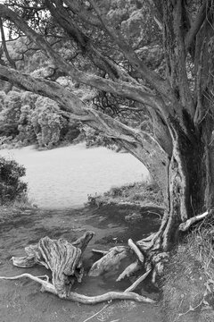 Solicitude Images – Browse 3,623 Stock Photos, Vectors, and Video ...