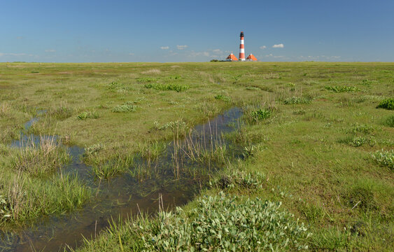 Warft Bilder – Durchsuchen 824 Archivfotos, Vektorgrafiken und Videos ...