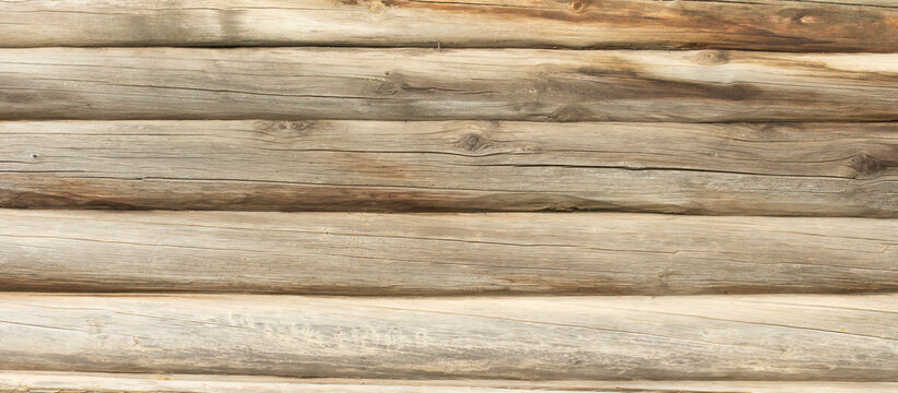 Log Texture