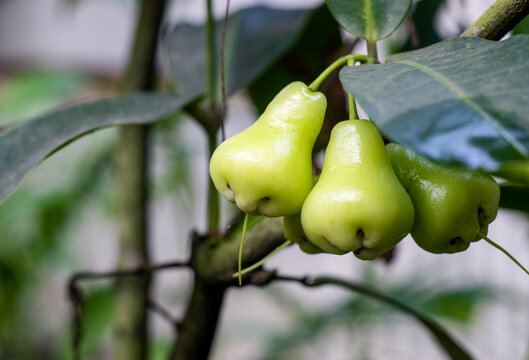 รูปภาพJamalac – เลือกดูภาพถ่ายสต็อก เวกเตอร์ และวิดีโอ2,352 | Adobe Stock
