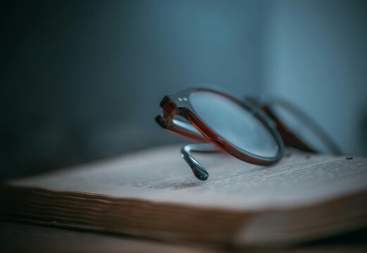 DIE 8,744 BESTEN BILDER, STOCK-FOTOS UND -VEKTORGRAFIKEN ZU „Buchennuss ...