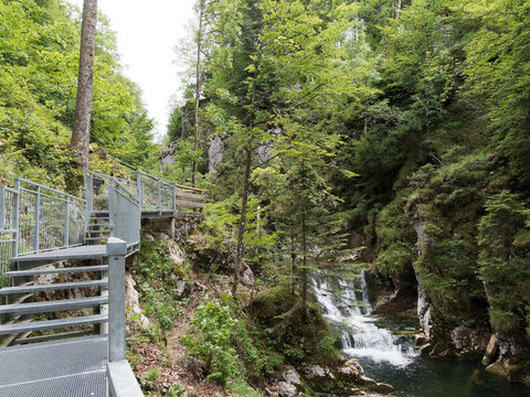 Gumpe Bilder – Durchsuchen 295 Archivfotos, Vektorgrafiken und Videos ...