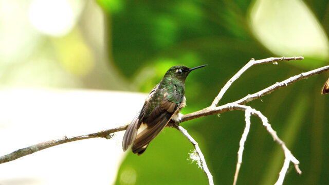 รูปภาพGuango – เลือกดูภาพถ่ายสต็อก เวกเตอร์ และวิดีโอ228 | Adobe Stock