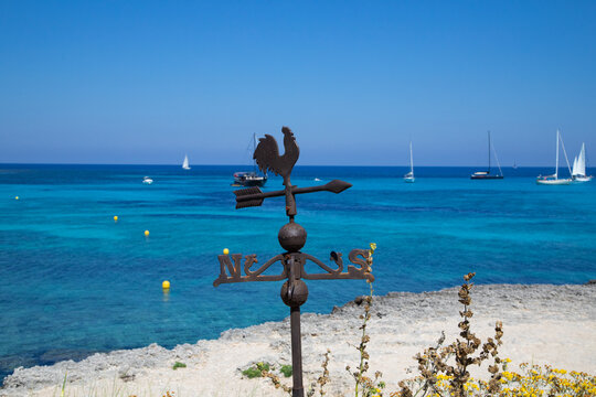 Prima Bilder – Durchsuchen 9,301 Archivfotos, Vektorgrafiken und Videos ...