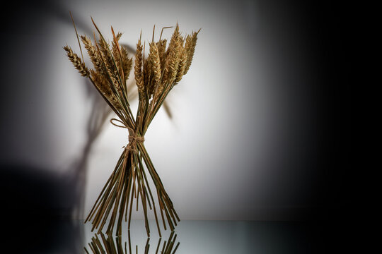 20,100 BESTE Brotweizen BILDER, STOCK-FOTOS & -VEKTORGRAFIKEN | Adobe Stock