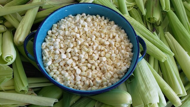 Desgranado 이미지 – 찾아보기 22 스톡 사진, 벡터 및 비디오 | Adobe Stock