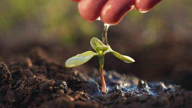 "Grow Up" Images – Browse 123,341 Stock Photos, Vectors, and Video ...