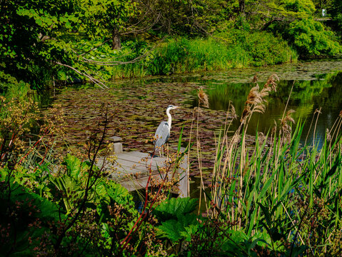 Hejre Images – Browse 7 Stock Photos, Vectors, and Video | Adobe Stock