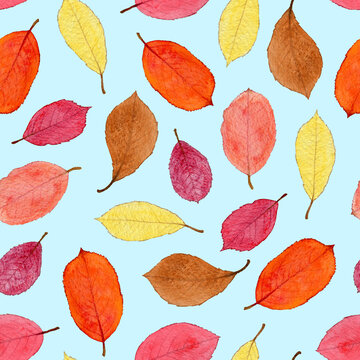 "Fall Texture" Imagens – Procure 210 fotos, vetores e vídeos | Adobe Stock