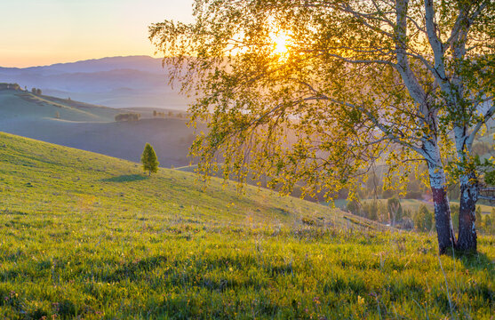Spring Morning
