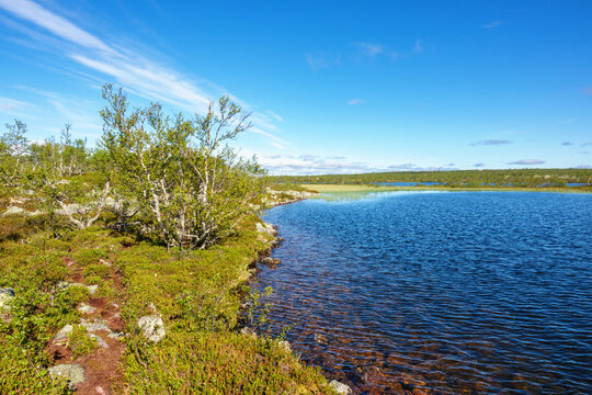 Heidemoor Bilder – Durchsuchen 11,725 Archivfotos, Vektorgrafiken und ...