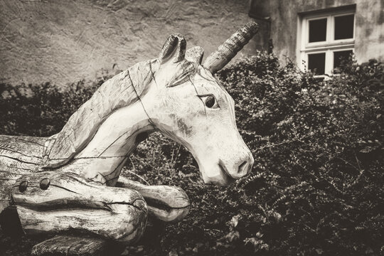 Perd-Bilder: Stock-Fotos & -Videos. | Adobe Stock