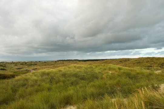 รูปภาพDuin – เลือกดูภาพถ่ายสต็อก เวกเตอร์ และวิดีโอ676 | Adobe Stock