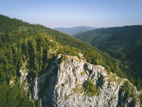 Rachitele Images – Browse 47 Stock Photos, Vectors, and Video | Adobe Stock