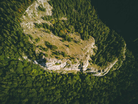 Rachitele Images – Browse 47 Stock Photos, Vectors, and Video | Adobe Stock