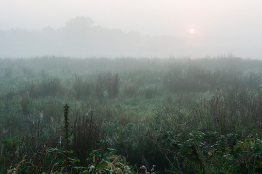 รูปภาพMistig – เลือกดูภาพถ่ายสต็อก เวกเตอร์ และวิดีโอ77 | Adobe Stock