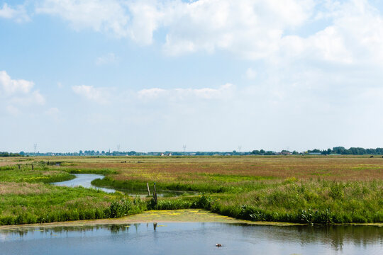 262개의 최고 Sloot 이미지, 스톡 사진 및 벡터 | Adobe Stock