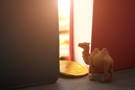 รูปภาพPeeks – เลือกดูภาพถ่ายสต็อก เวกเตอร์ และวิดีโอ118,342 | Adobe Stock