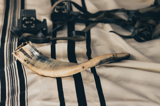 รูปภาพTalit – เลือกดูภาพถ่ายสต็อก เวกเตอร์ และวิดีโอ7,815 | Adobe Stock