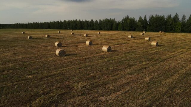 「Stook」の画像 - 221 件の Stock 写真、ベクターおよびビデオ | Adobe Stock
