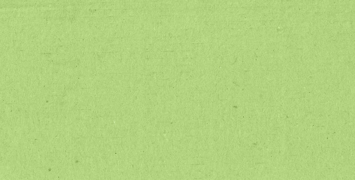 Light Green Paper Texture