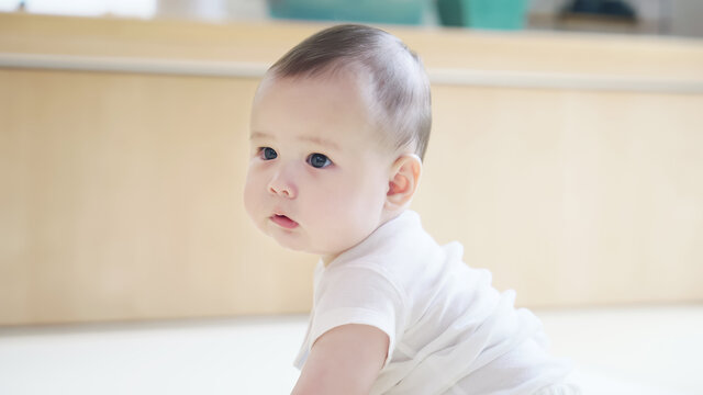 รูปภาพDazedly – เลือกดูภาพถ่ายสต็อก เวกเตอร์ และวิดีโอ1,001 | Adobe Stock