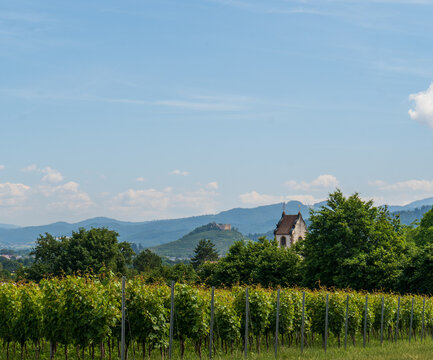 รูปภาพHeitersheim – เลือกดูภาพถ่ายสต็อก เวกเตอร์ และวิดีโอ121 | Adobe Stock
