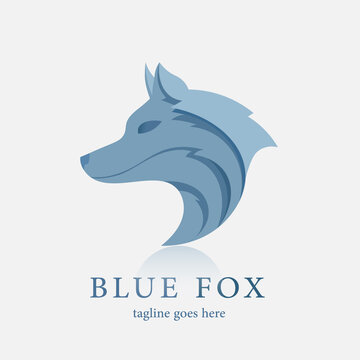 Blue Fox Logo