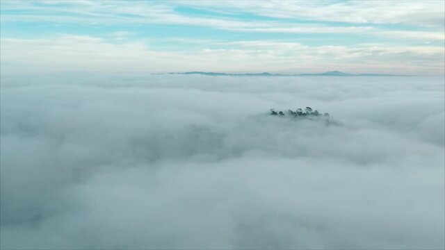 Imágenes de "Fog Line": descubre bancos de fotos, ilustraciones ...