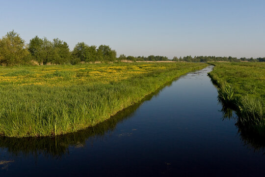 262개의 최고 Sloot 이미지, 스톡 사진 및 벡터 | Adobe Stock