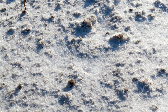 Faulschlamm Bilder – Durchsuchen 868 Archivfotos, Vektorgrafiken und ...