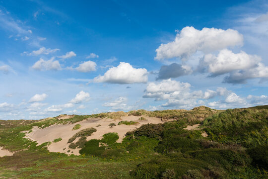 รูปภาพBewolking – เลือกดูภาพถ่ายสต็อก เวกเตอร์ และวิดีโอ343 | Adobe Stock