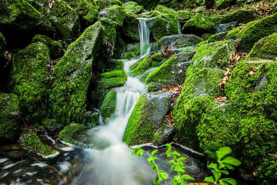 Wasserquelle bilder – Bläddra bland 826 stockfoton, vektorer och videor ...