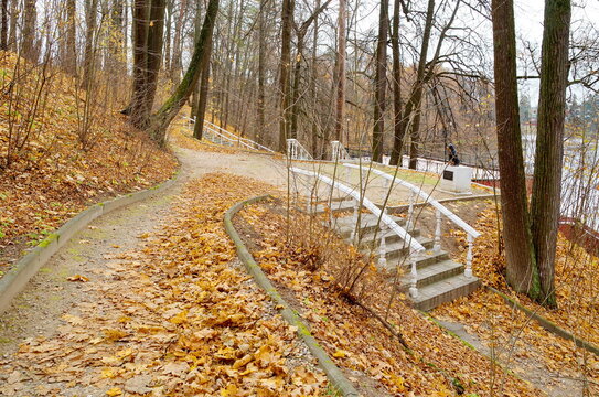 รูปภาพUcha – เลือกดูภาพถ่ายสต็อก เวกเตอร์ และวิดีโอ117 | Adobe Stock