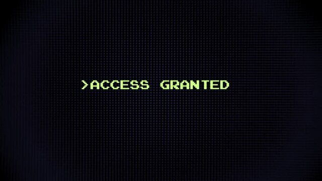 Access Granted Gif