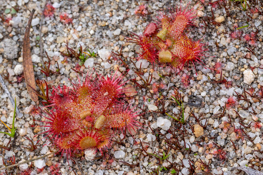 Bokke Images – Browse 222 Stock Photos, Vectors, and Video | Adobe Stock