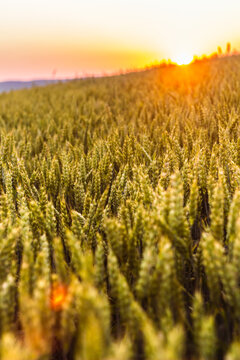 รูปภาพSundawn – เลือกดูภาพถ่ายสต็อก เวกเตอร์ และวิดีโอ998 | Adobe Stock