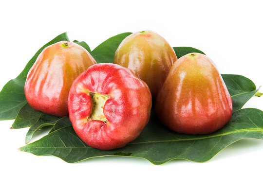 รูปภาพJamalac – เลือกดูภาพถ่ายสต็อก เวกเตอร์ และวิดีโอ2,352 | Adobe Stock