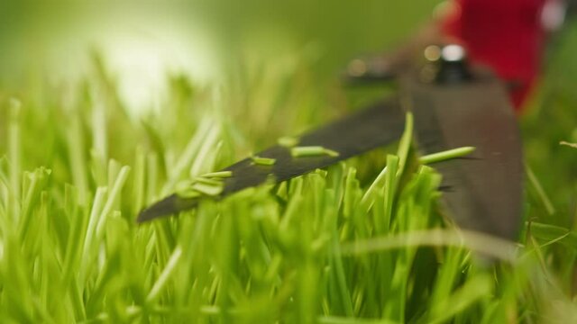 Cutting Grass With Scissors Images – Browse 8,364 Stock Photos, Vectors ...