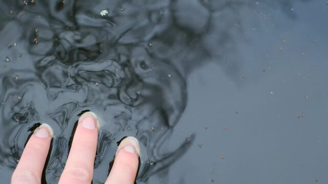 "Touching Water" Bilder – Durchsuchen 129 Archivfotos, Vektorgrafiken ...