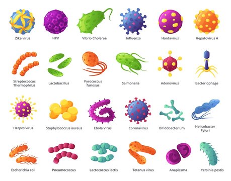 Bacteria Images – Browse 317,912 Stock Photos, Vectors, and Video ...
