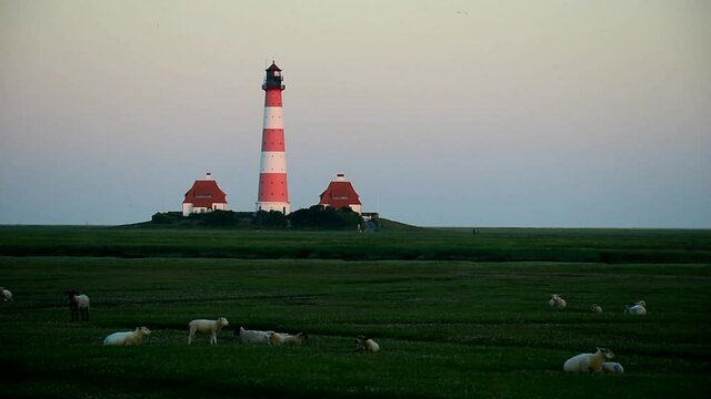 「Warft」の写真素材 | 763件の無料イラスト画像 | Adobe Stock