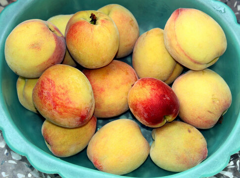 รูปภาพPersipan – เลือกดูภาพถ่ายสต็อก เวกเตอร์ และวิดีโอ144 | Adobe Stock